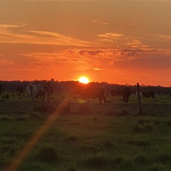 CAMP MARS - Updated January 2026 - 35 Photos & 27 Reviews - 326 Goff Rd ...