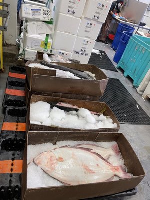 ALOHA SEAFOOD - Updated December 2025 - 42 Photos & 12 Reviews - Pier ...