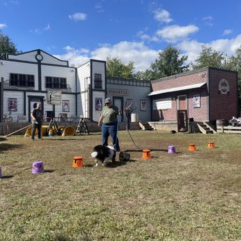 VALA’S PUMPKIN PATCH - Updated September 2025 - 381 Photos & 179 ...