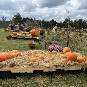 MAPLE TREE FARM - 8275 Maple Tree Ln, Warrenton, Virginia - Attraction ...