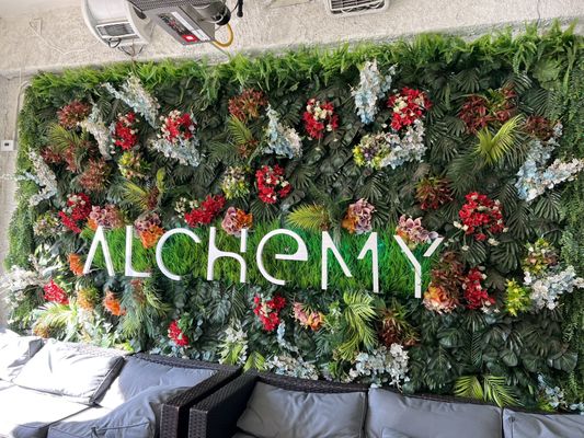 ALCHEMY - Updated October 2025 - 32 Photos & 77 Reviews - 606 Glenwood ...