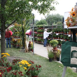 CRYSTAL LAKE PUBLIC LIBRARY - Updated January 2025 - 13 Reviews - 126 W ...