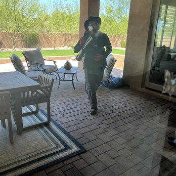 GREEN MANGO PEST CONTROL - Updated December 2025 - 160 Photos & 682 ...