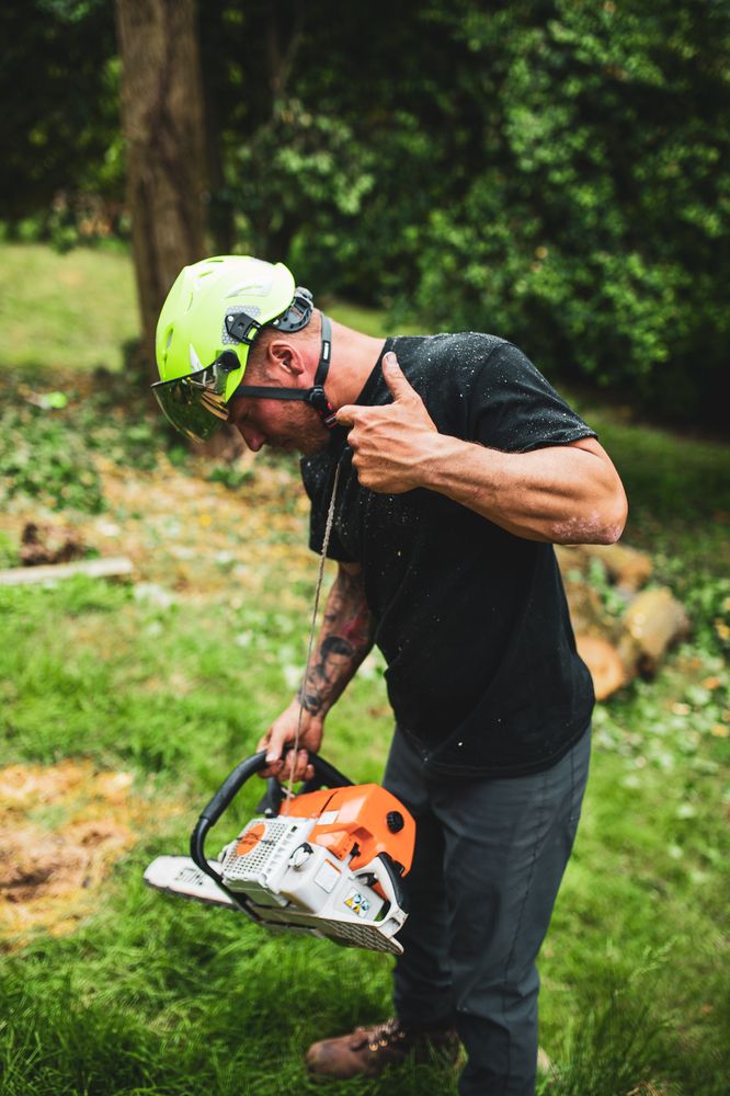 TIM TREE’S - Updated May 2024 - Fairhill, Maryland - Tree Services ...