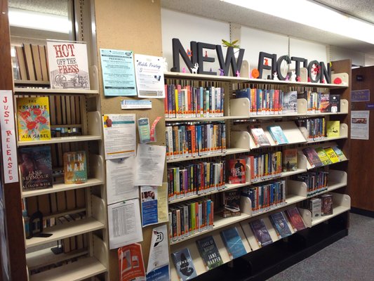 THE FIELD LIBRARY - Updated December 2025 - 42 Photos - 4 Nelson Ave ...