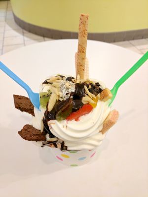 YOTOPIA IOWA CITY’S ORIGINAL FROYO - Updated May 2026 - 64 Photos & 101 ...