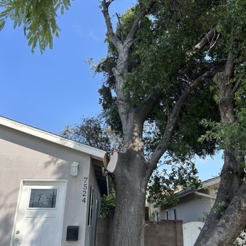 AFFORDABLE TREE CARE - Updated June 2024 - 1877 Photos & 1711 Reviews ...