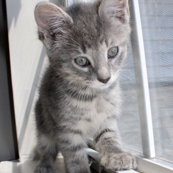 CMPD ANIMAL CARE AND CONTROL - Updated October 2025 - 34 Photos & 30 ...