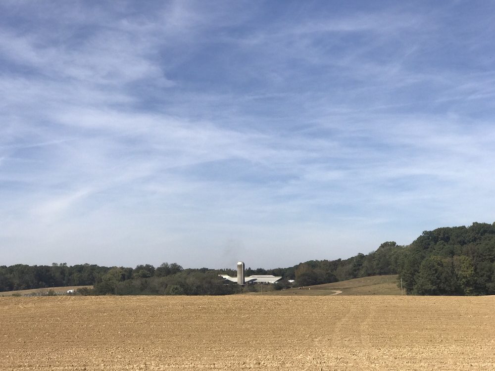 MAPLE VIEW FARM MILK COMPANY - 10 Photos & 16 Reviews - 3109 Dairyland ...