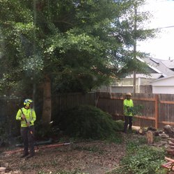 OREGON TREE CARE - 38 Photos & 31 Reviews - Tree Services - 7625 NE ...