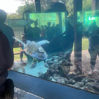 GUMBO LIMBO NATURE CENTER - Updated June 2025 - 895 Photos & 240 ...