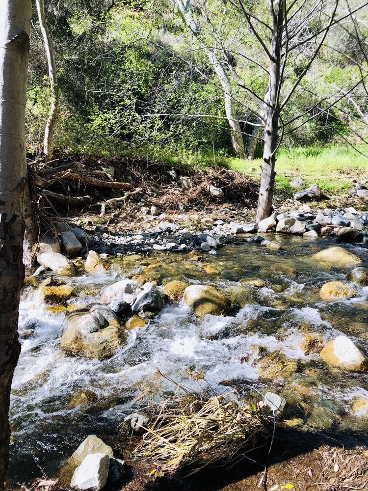 LAZY W RANCH CAMP & RETREAT CENTER - 12 Photos - 23852 Hot Springs ...