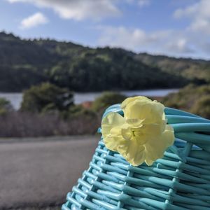 UC ELKUS RANCH ENVIRONMENTAL EDUCATION CENTER - 48 Photos - 1500 ...