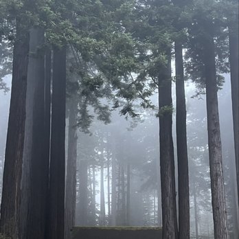 SPIRIT CAMP RETREAT CENTER, VENUE RENTALS & RETREATS - Updated January ...