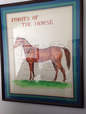 WATCHUNG STABLE - Updated October 2025 - 12 Photos - 1160 Summit Ln ...