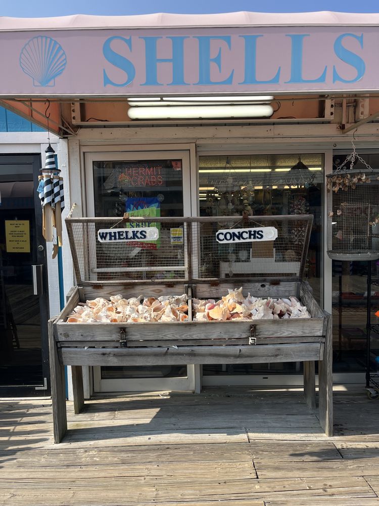 SHELLS SHELLS - Updated December 2025 - 14th & Ocean Frnt, Virginia ...