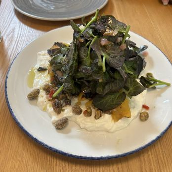 BLUEBIRD KITCHEN - Updated July 2024 - 254 Photos & 173 Reviews - 2405 ...