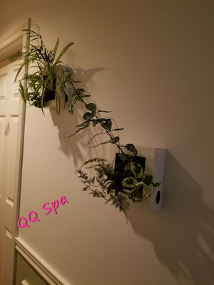 QQ SPA - Updated October 2025 - 10 East Wilmot Street, Richmond Hill ...