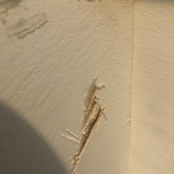 SERVICE PROS INSTALLATION GROUP INC - 44 Photos & 68 Reviews - 1921 ...