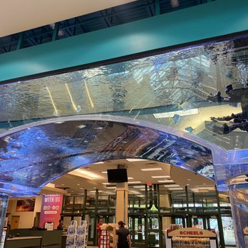 SCHEELS - Updated January 2025 - 1124 Photos & 624 Reviews - 1200 ...