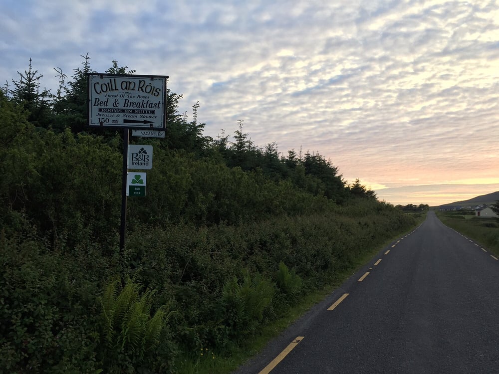 COILL AN RÓIS - FOREST OF THE ROSES - Updated February 2025 ...