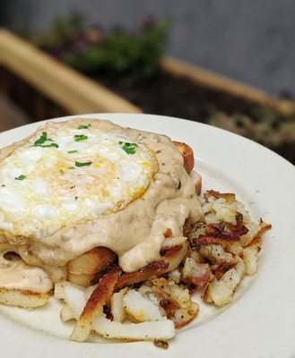 NOOK - 765 Photos & 650 Reviews - 1 E Congress, Tucson, Arizona ...