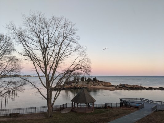 THE CONNECTICUT HOSPICE - 70 Photos & 11 Reviews - 100 Double Beach Rd ...