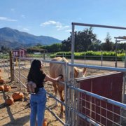 PRANCERS FARM - 77 Photos & 17 Reviews - 18540 E Telegraph Rd, Santa ...