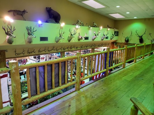 CARTER’S COUNTRY - Updated November 2024 - 21 Photos & 113 Reviews ...