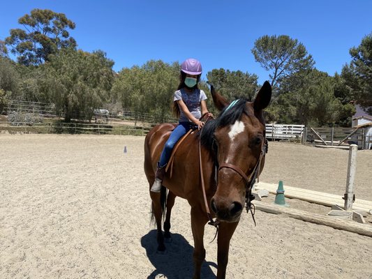 OCEANVIEW PERFORMANCE HORSES - Updated May 2024 - 37 Photos - 40 ...