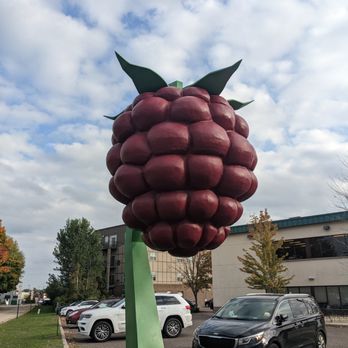 WORLD’S LARGEST RASPBERRY - Updated October 2025 - 21 8th Ave N ...