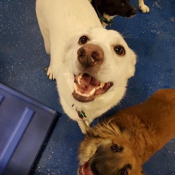 BAY VIEW BARK - Updated October 2025 - 212 Photos & 43 Reviews - 1820 S ...