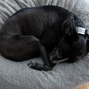 DUKE ANIMAL HOSPITAL - Updated December 2025 - 42 Photos & 257 Reviews ...