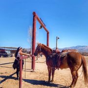 SANDY VALLEY RANCH - 64 Photos & 13 Reviews - 1411 Kingston Rd, Sandy ...