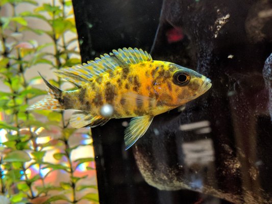 CANTON PUBLIC LIBRARY - Updated December 2025 - 111 Photos & 30 Reviews ...