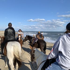 EQUINE ADVENTURES - 69 Photos & 36 Reviews - 52193 Piney Ridge Rd ...