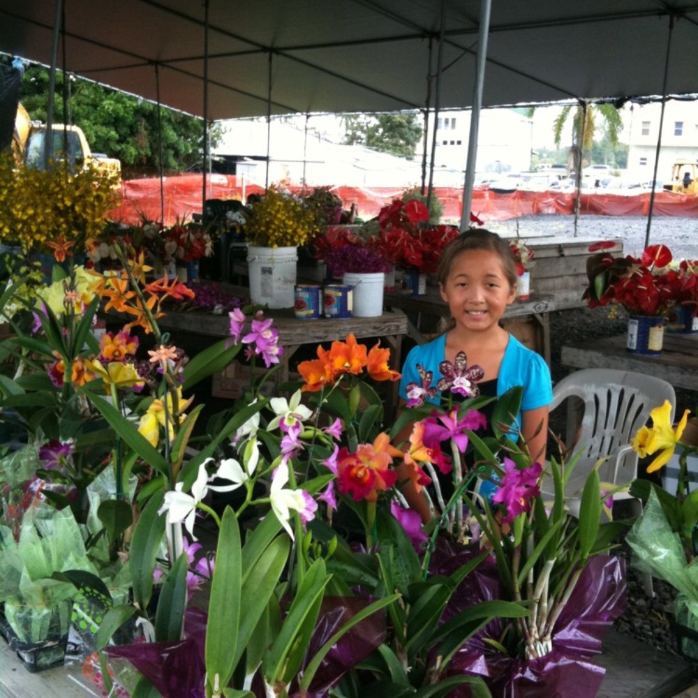 Orchid Farms In Hawaii In