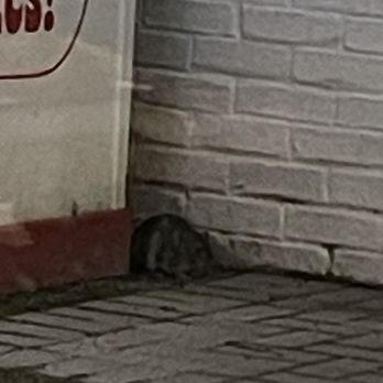 PARSON’S CHICKEN & FISH - LOGAN SQUARE - Updated January 2025 - 1191 ...