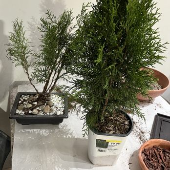 COLOR COCKTAIL FACTORY - Updated December 2025 - 386 Photos & 338 ...