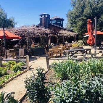 ROBLAR WINERY - Updated April 2025 - 725 Photos & 463 Reviews - 3010 ...