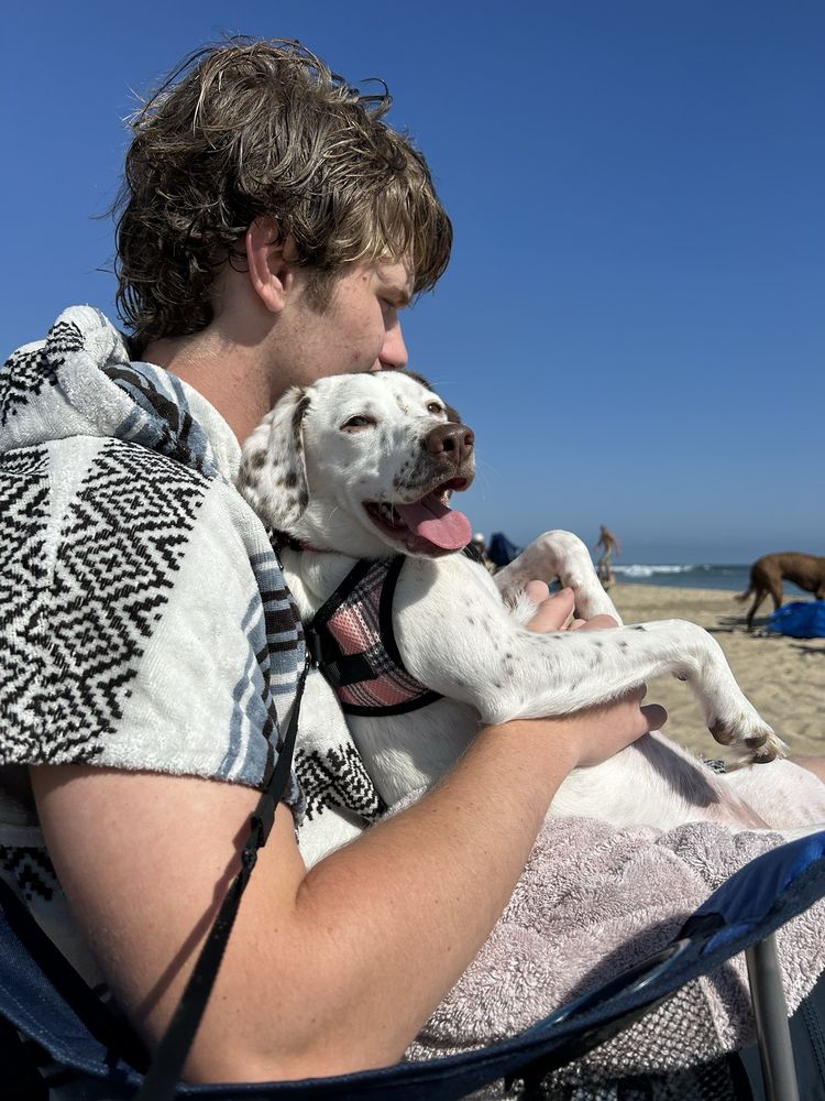 PRICELESS PET RESCUE - COSTA MESA - Updated June 2026 - 70 Photos & 65 ...