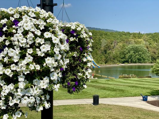 YOUNG LIFE ROCKBRIDGE ALUM SPRINGS - Updated May 2026 - 13 Photos - 170 ...