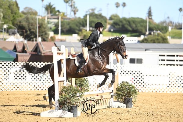 FOXFIELD RIDING SCHOOL - Updated March 2025 - 48 Photos & 49 Reviews ...