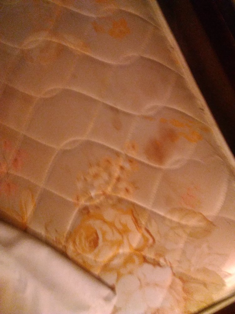 OLSSON MOTEL - Updated December 2025 - 4137 Government Blvd, Mobile ...