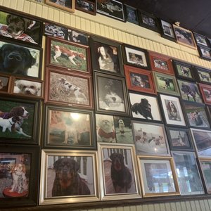 FETCH BAR & GRILL - 125 Photos & 231 Reviews - Bars - 48 Main St ...