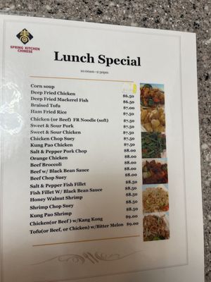 SPRING CHINESE KITCHEN - Updated December 2025 - 55 Photos & 15 Reviews ...