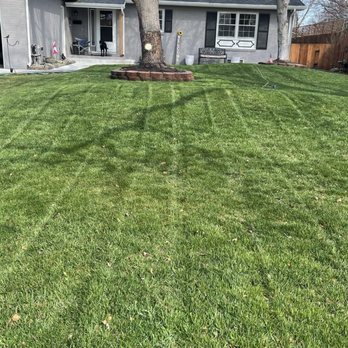 IMPACT LAWN CARE Updated February 2025 Request a Quote 1644 N Gow Wichita Kansas Landscaping Phone Number Yelp
