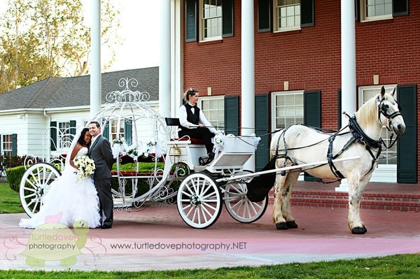 CRESTMORE MANOR - Updated December 2025 - 35 Photos & 23 Reviews - 4600 ...