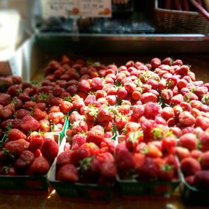 VERRILL FARM - 164 Photos & 131 Reviews - 11 Wheeler Rd, Concord, MA ...