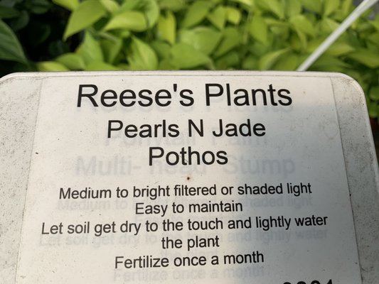 REESE’S PLANTS - Updated September 2025 - 91 Photos & 18 Reviews ...